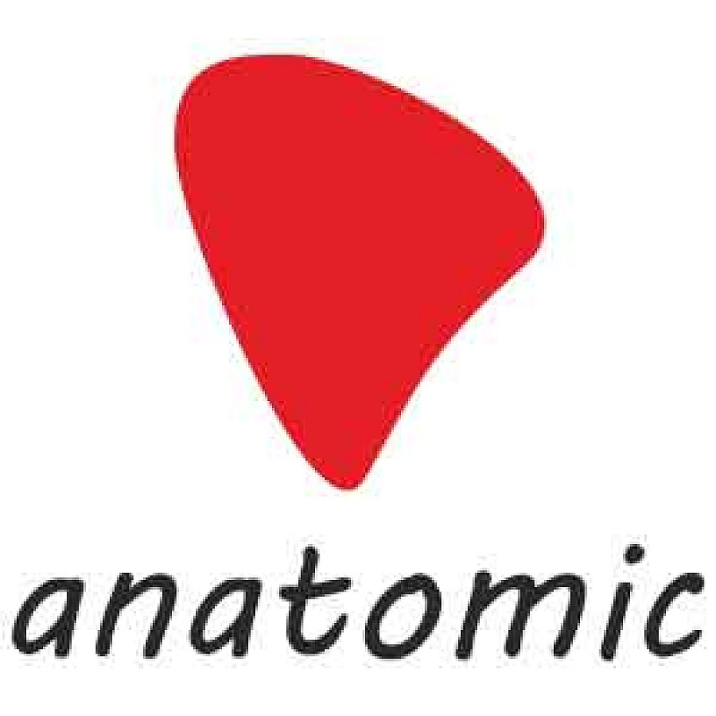 Anatomic